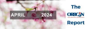 Le point sur le programme – ORBCoN