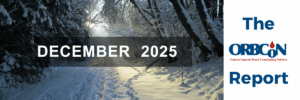A Tour Through ORBCoN’s Resource Drawer – ORBCoN